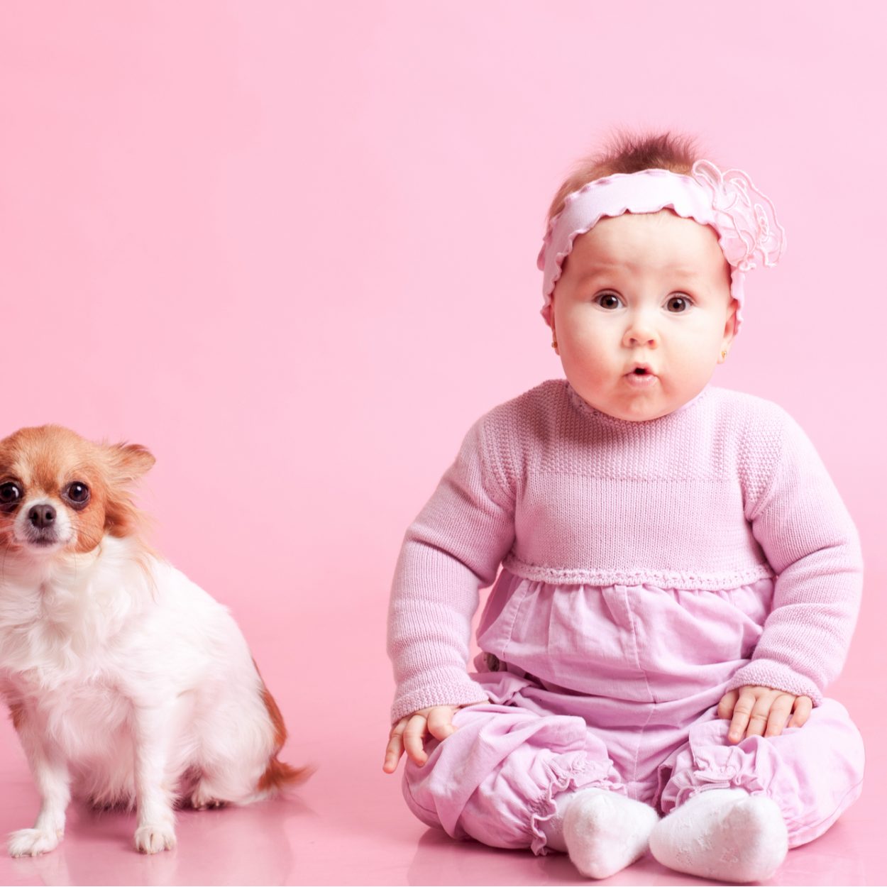 Born beautiful – the magical world of baby modelling – Models Direct Blog